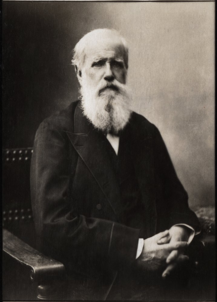 Portrait of Dom Pedro II, Emperor of Brazil