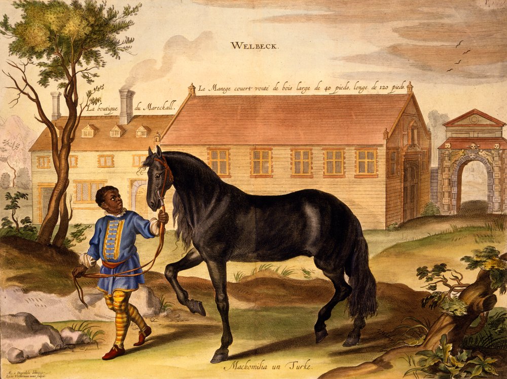 Makomilia, a Turk, Led by a Negro Stable Boy in Livery