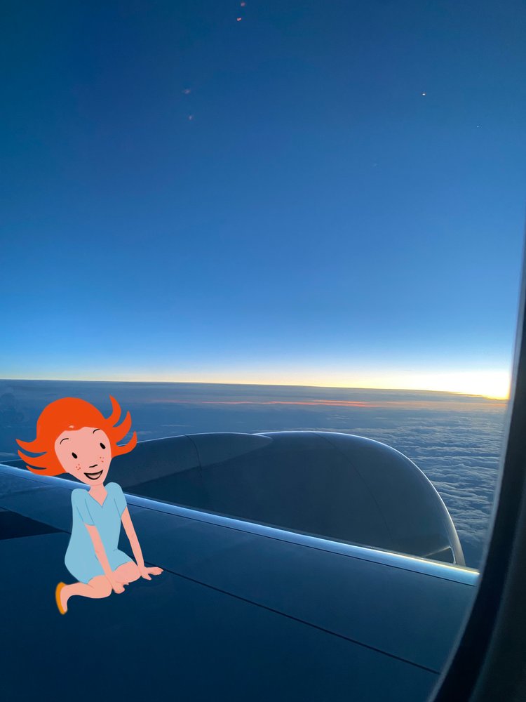 Let's Fly, 2023 by Agnes Girardon: Buy fine art print