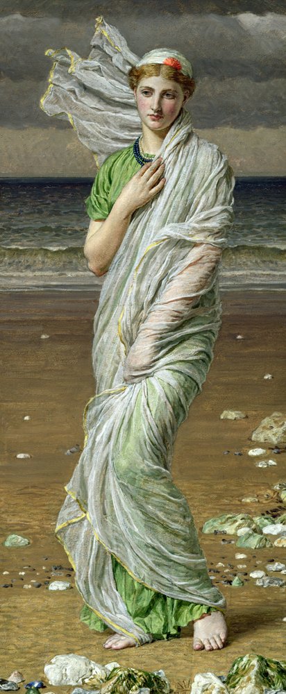 Seashells by Albert Joseph Moore: Buy fine art print
