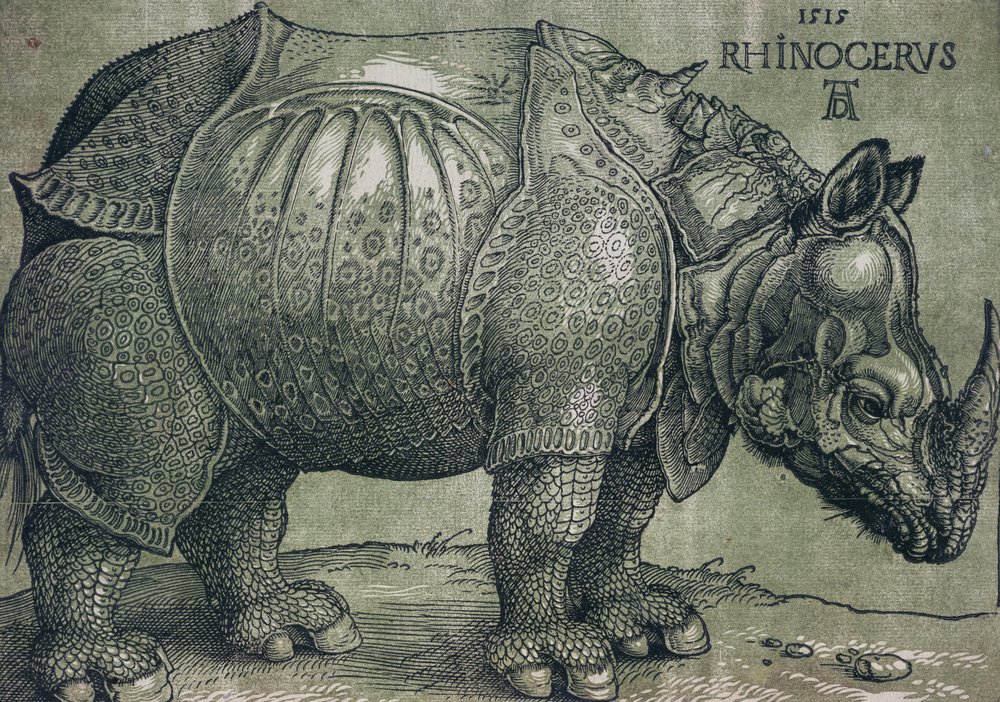 The Rhinoceros by Albrecht Dürer: Buy fine art print