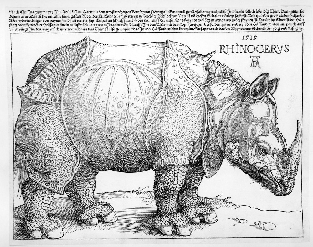 The Rhinoceros by Albrecht Dürer: Buy fine art print