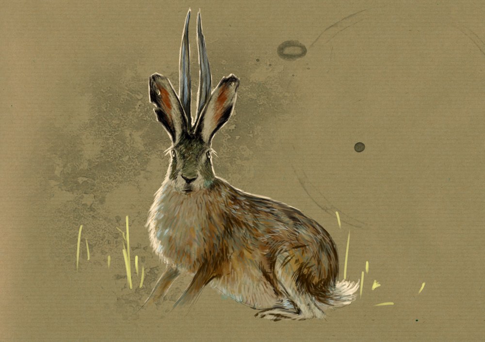 Representation of a Jackalope by Alessandro Lonati