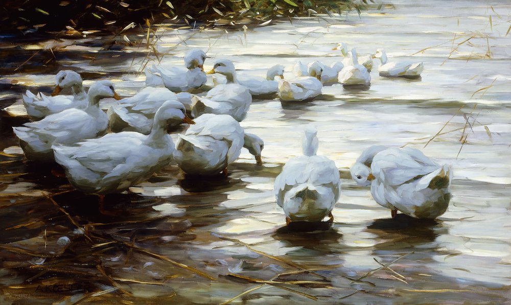 Ducks in Shallow Water Reed by Alexander Koester