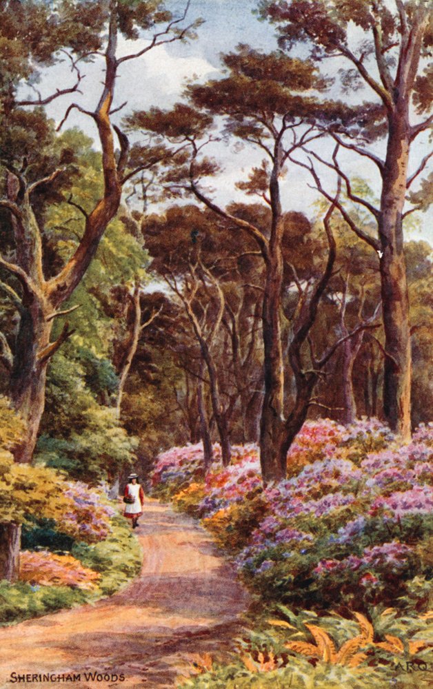 Sheringham Woods by Alfred Robert Quinton: Fine art print