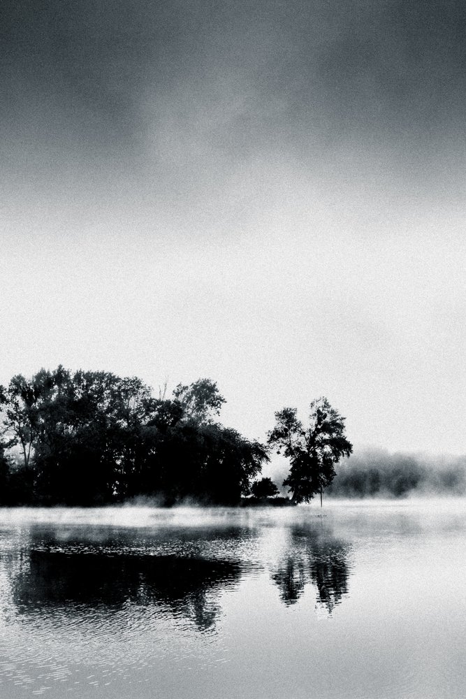 Boissy Morning, 2017 by Alice Gur Arie: Buy fine art print