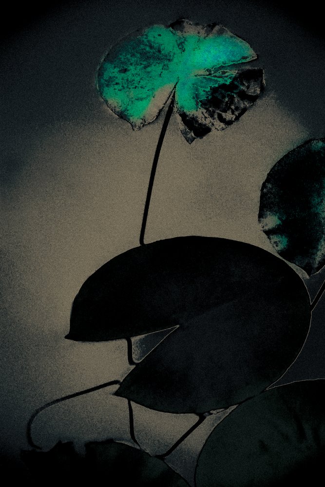 Emerald Spring, from the series Spring, 2020