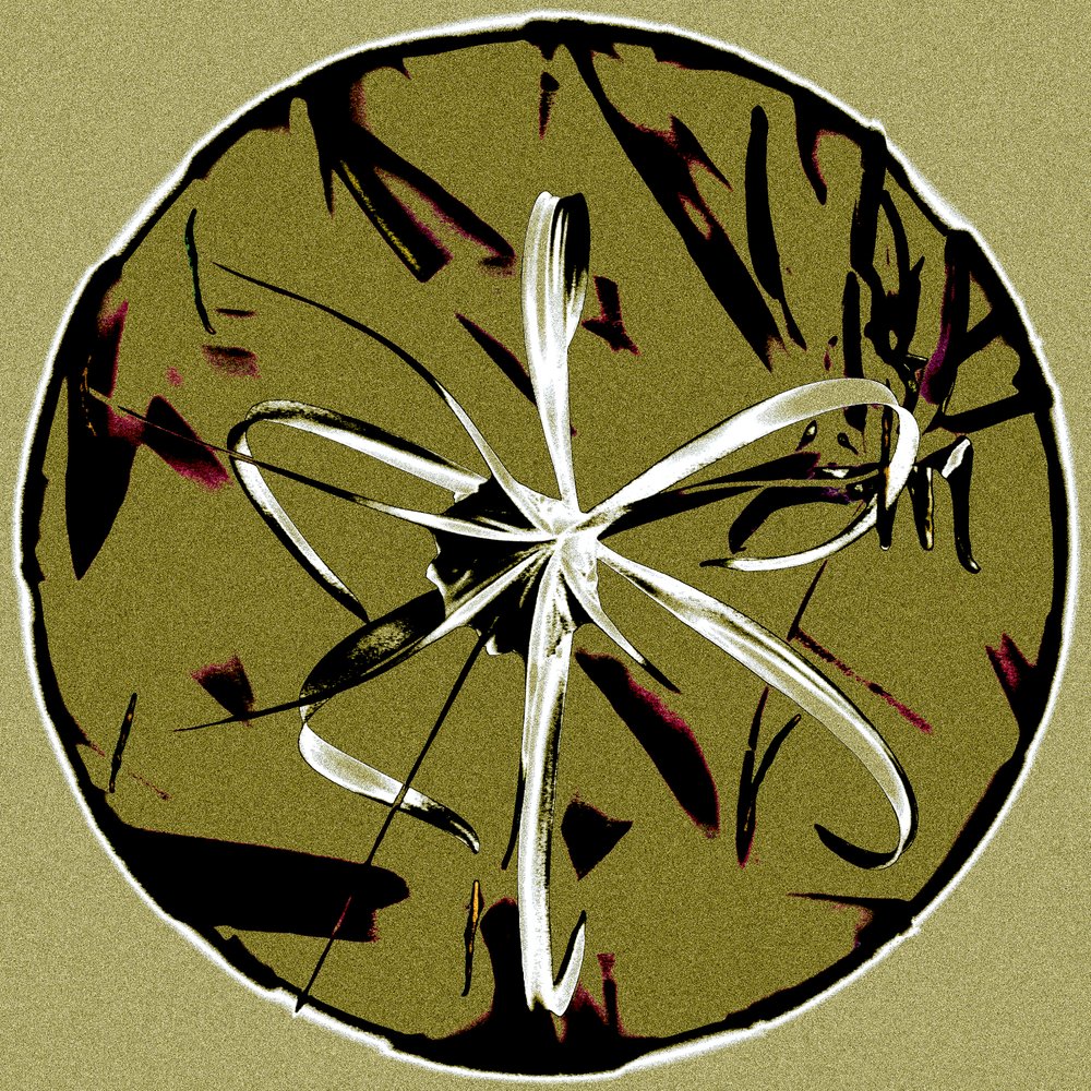 Goan Beauty, 2012 by Alice Gur Arie: Buy fine art print