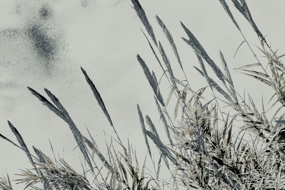 Harvest, 2017 by Alice Gur Arie: Buy fine art print