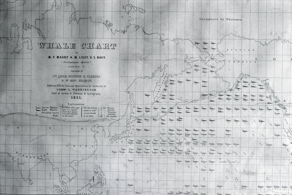 Whale Chart of the North Pacific, 1851 by American School