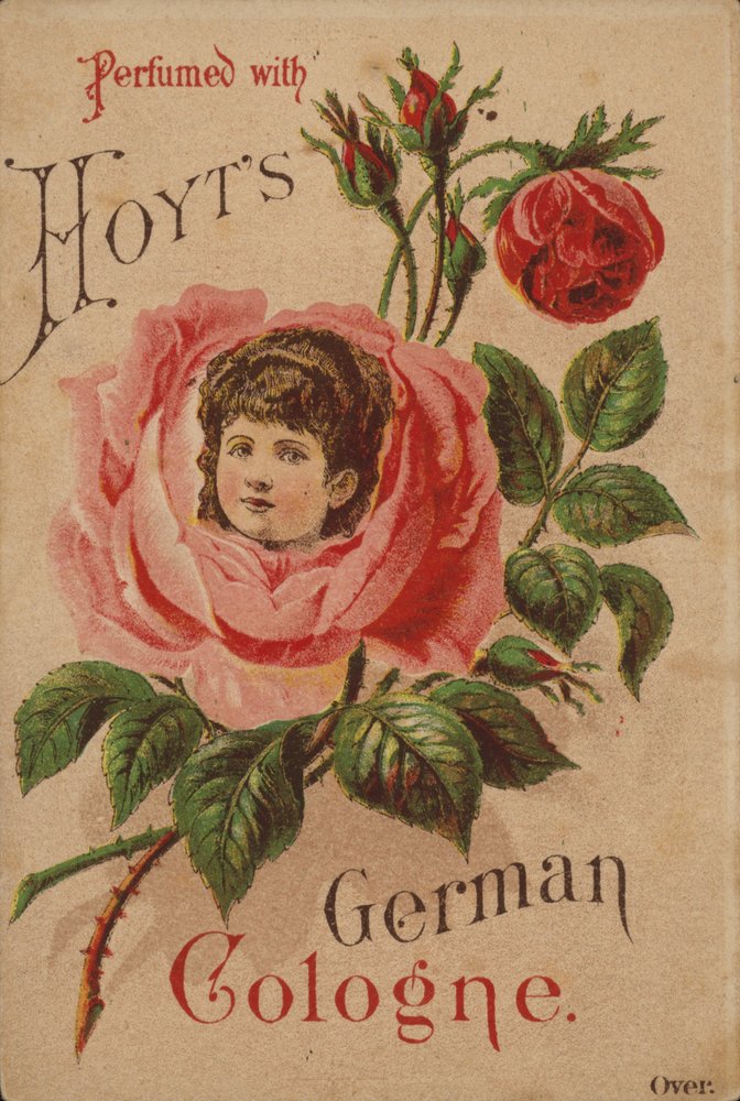 Hoyt's German Cologne by American School: Fine art print
