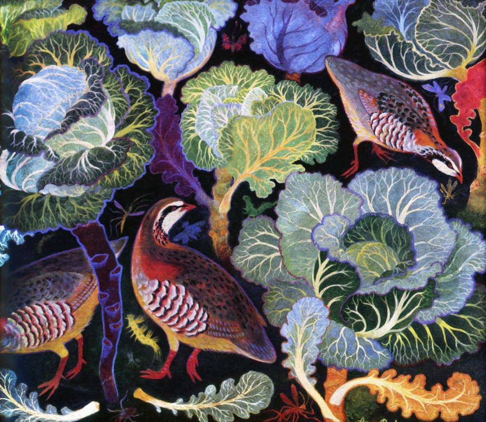 Partridge in a Cabbage Patch by Anna Pugh: Fine art print