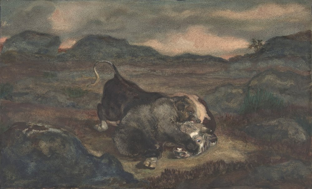 Bear Killing Bull by Antoine Louis Barye: Fine art print