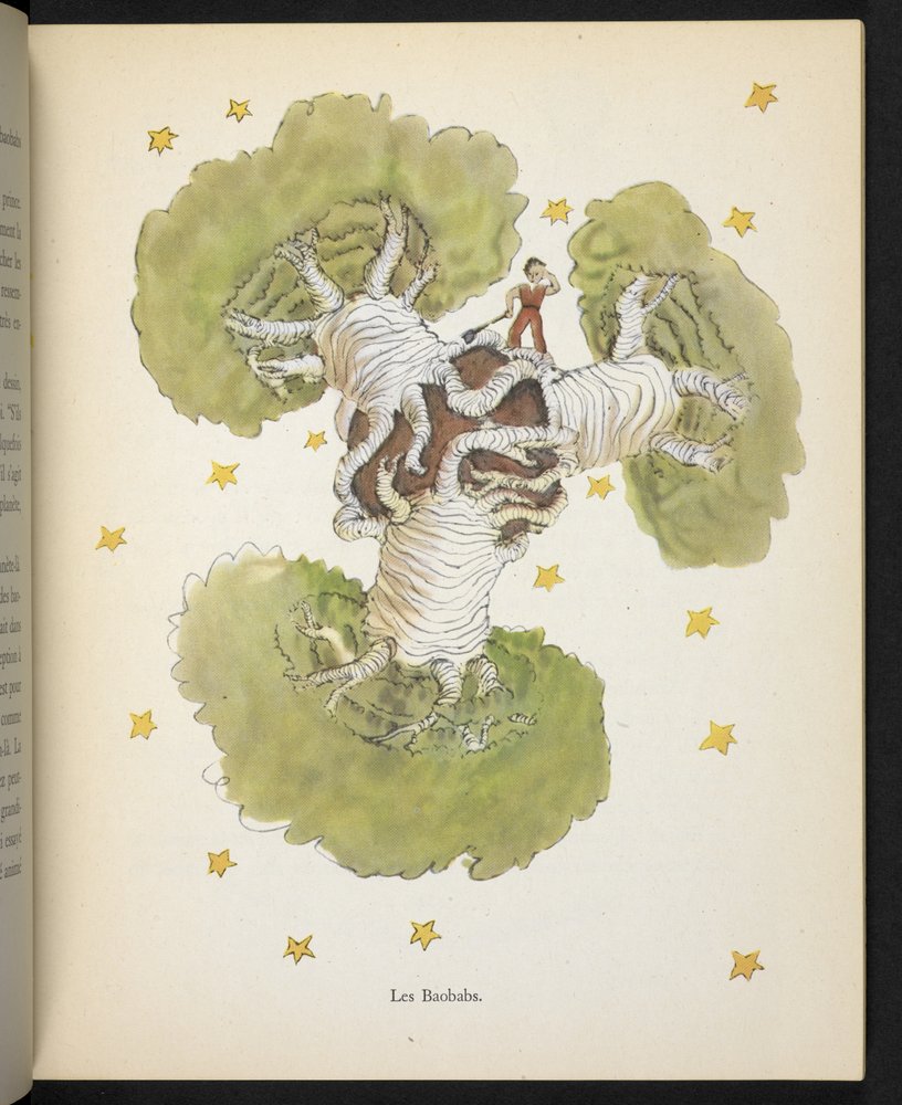 The Baobabs, illustration from 'Le Petit Prince', by Antoine de Saint ...