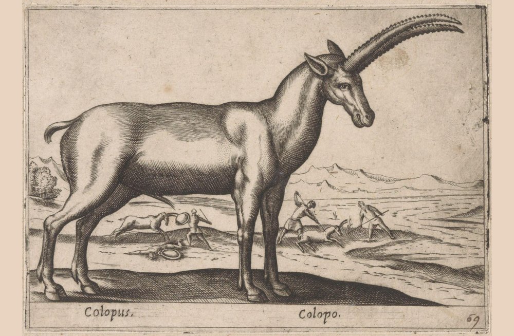 Goat-like Creature by Antonio Tempesta: Buy fine art print