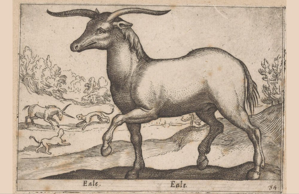 Horse with Horns (Eale, Animals and Fabulous Creatures, Nova raccolta ...