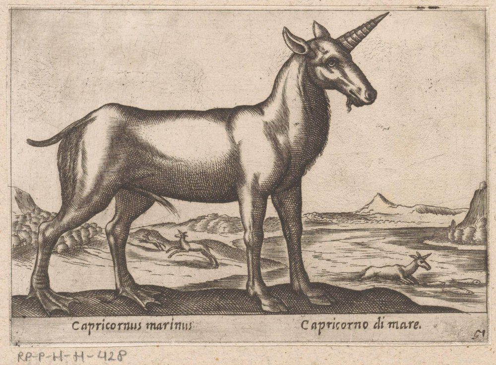 Capricorn as Sea Creature (Capricornus marinus) (Animals and Mythical ...
