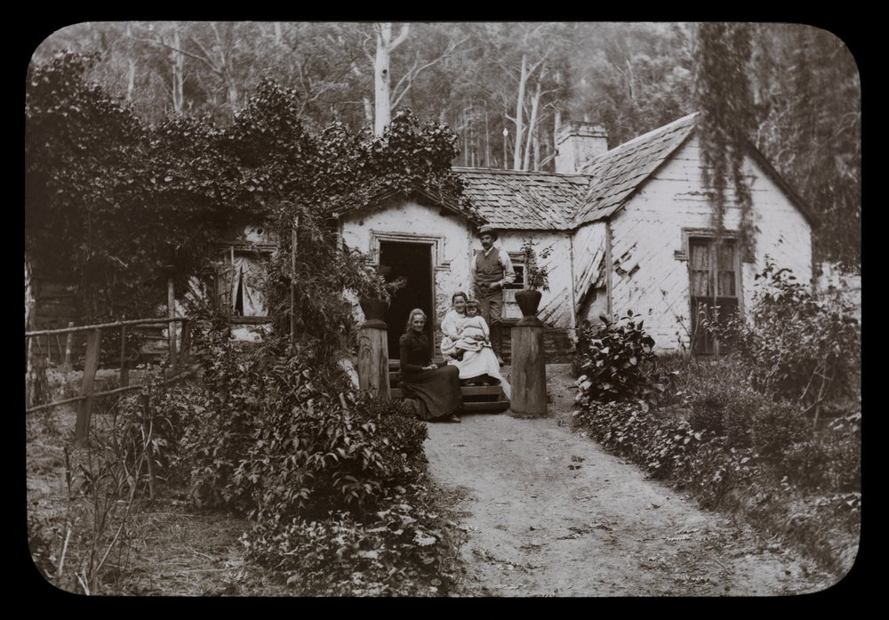 Forester's Hut, Ferntree Gully by Archibald James Campbell