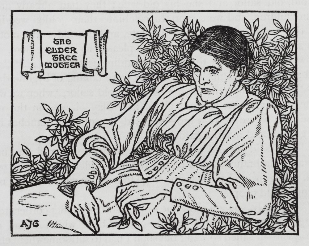 Hans Christian Andersen: The Little Elder-Tree Mother