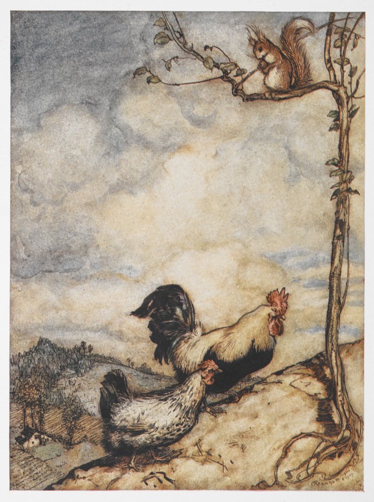 An illustration of a hen, cockerel and squirrel from The Adventures of ...