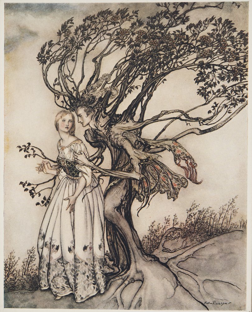 The Old Woman in the Wood by Arthur Rackham: Fine art print