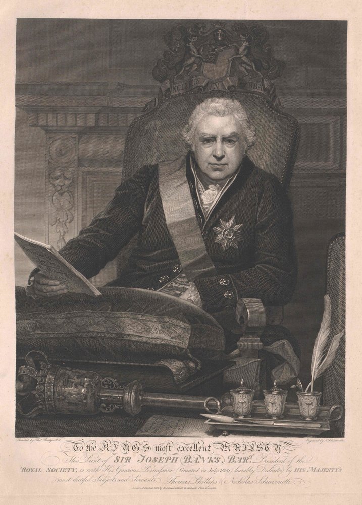 Sir Joseph Banks by Artist Unknown: Buy fine art print
