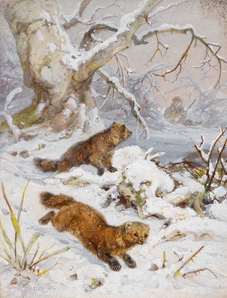 Wolverines in the Snow by August Specht: Fine art print