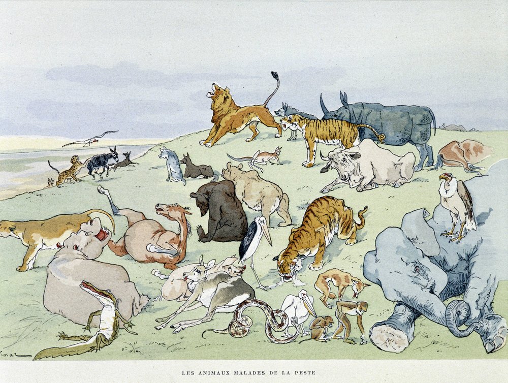 Les animaux malades de la peste - in 'Les Fables de la Fontaine ...