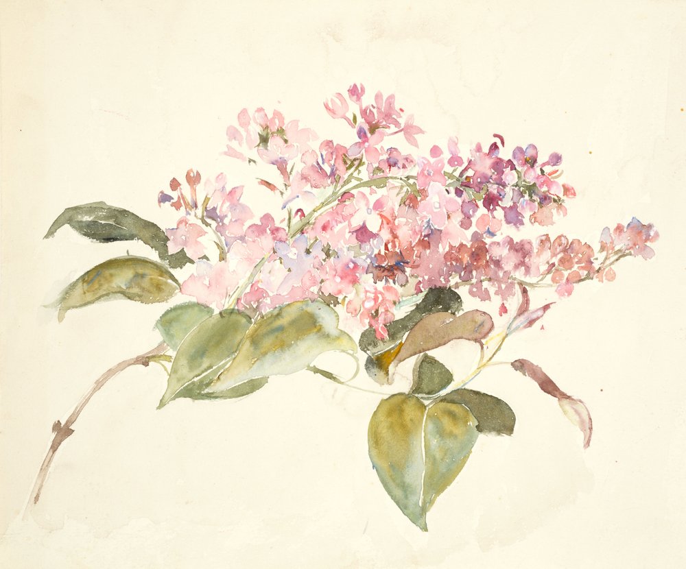 Pink Flowers by Barbara Leigh Smith Bodichon