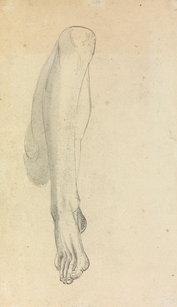 Anatomical Study of a Leg by Benjamin Robert Haydon