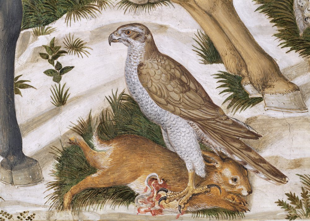 Falcon with captured rabbit (detail)