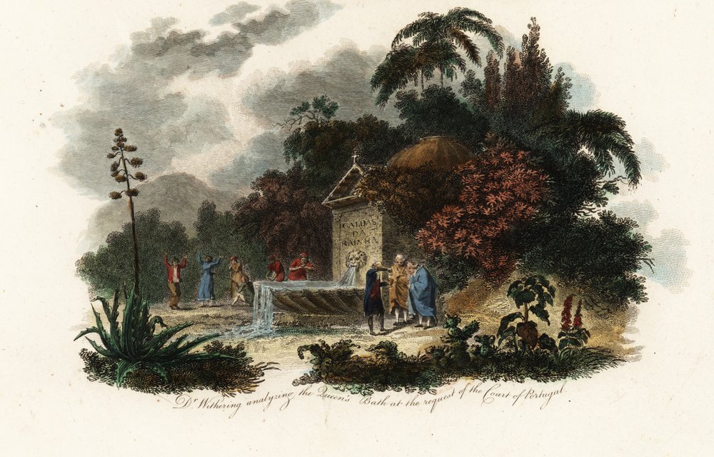 William Withering at Caldas da Rainha