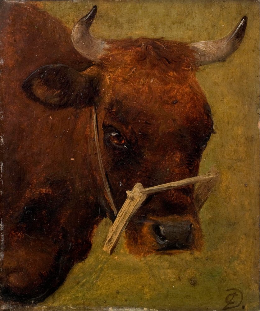Head of a cow (Study) by Carlo Dalgas: Buy fine art print