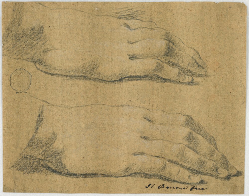 Study: Two Right Hands, of a Woman by Carlo Bononi