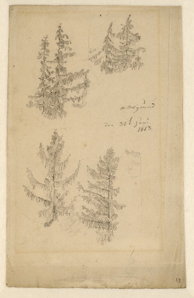 Studies of Fir Trees by Caspar David Friedrich