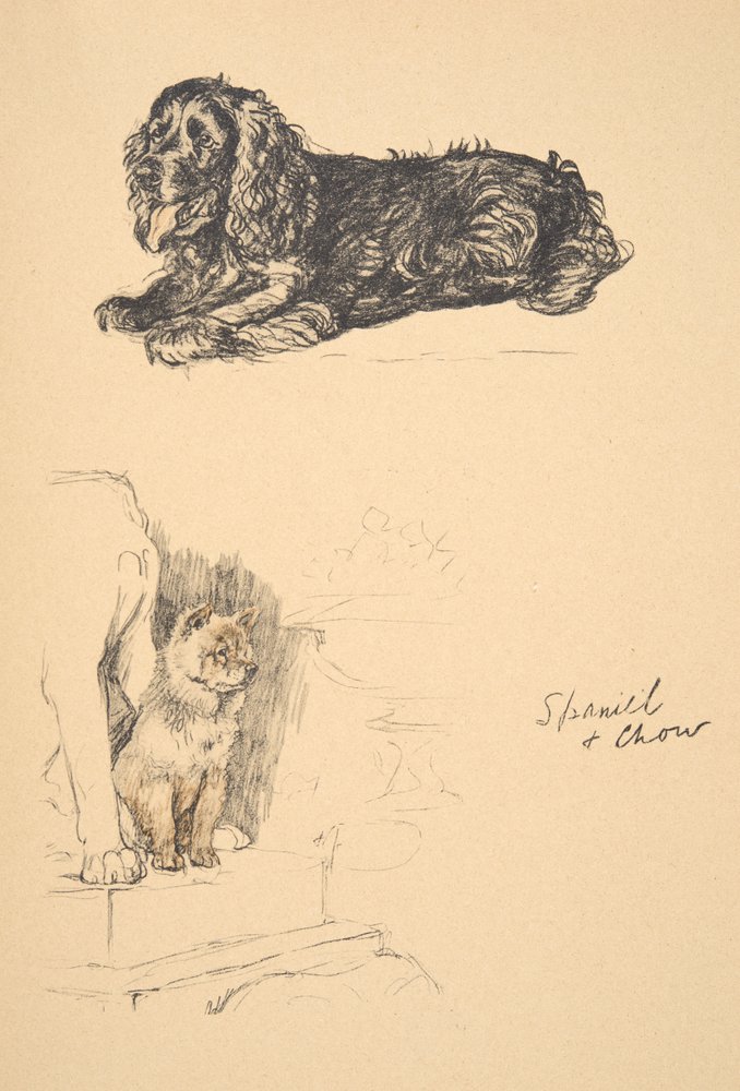 Spaniel and Chow, 1930, Illustrations from his Sketch Book used for ...