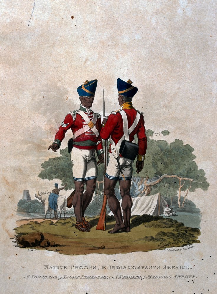 Native Troops, East India Company's Service, A Sergeant of Light ...