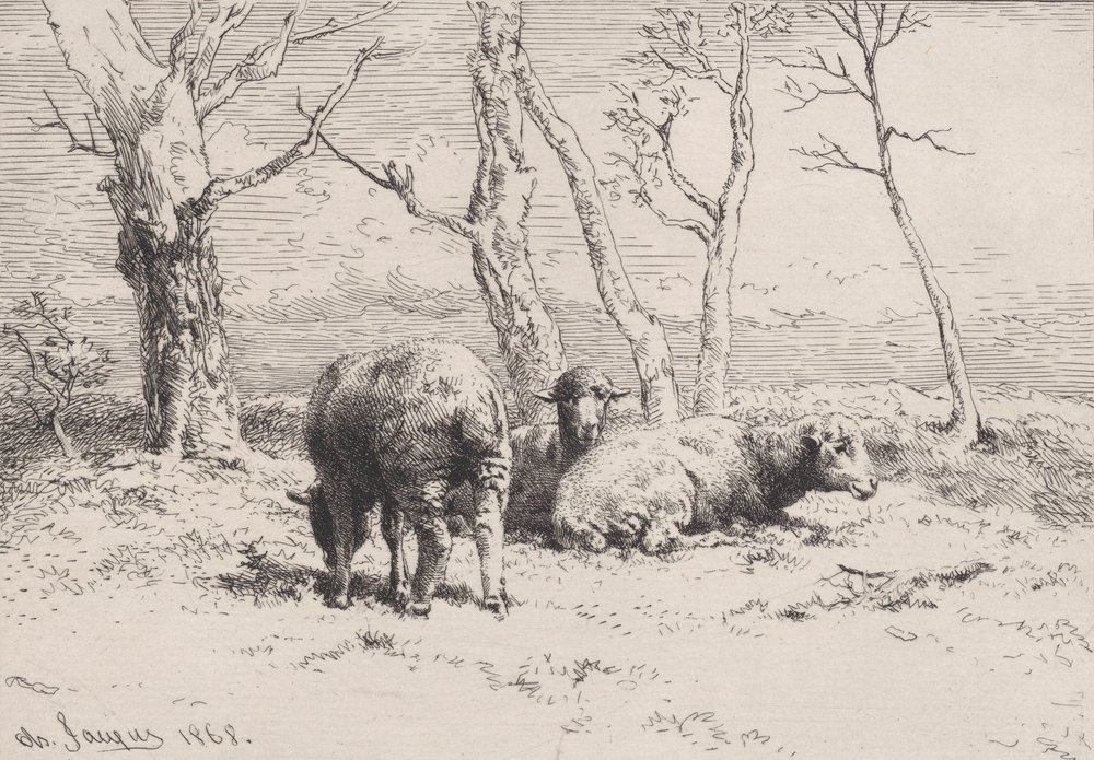 Sheep by Charles Emile Jacque: Buy fine art print