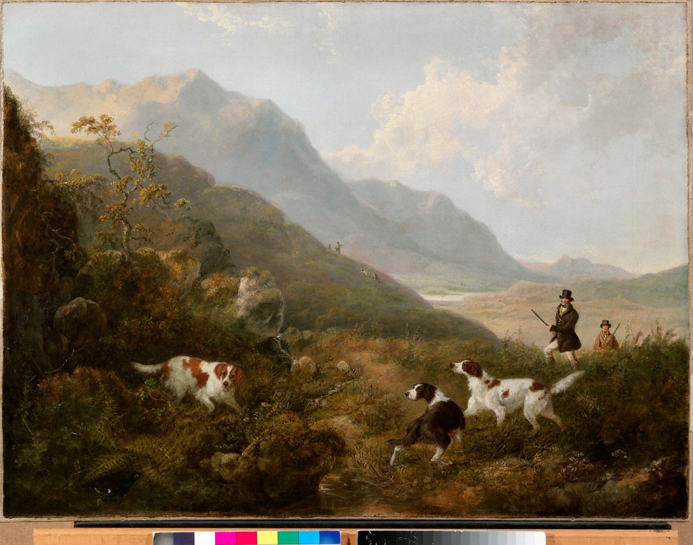 Grouse Shooting in the Highlands