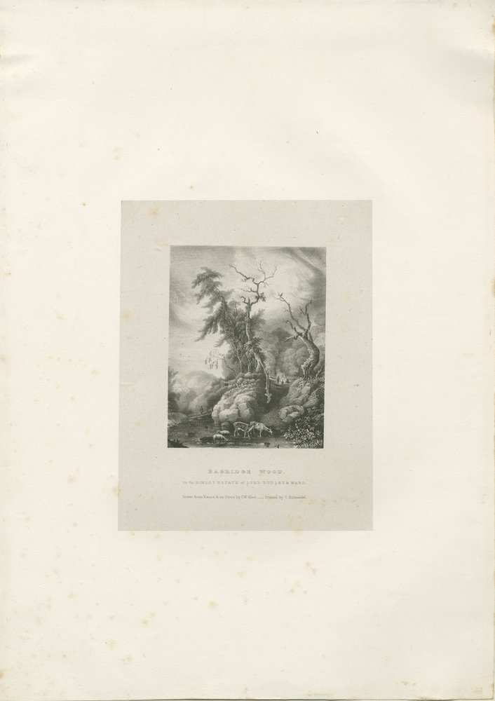 Himley Estate - 'Bagridge Wood': Lithograph, nd [1789-1850]