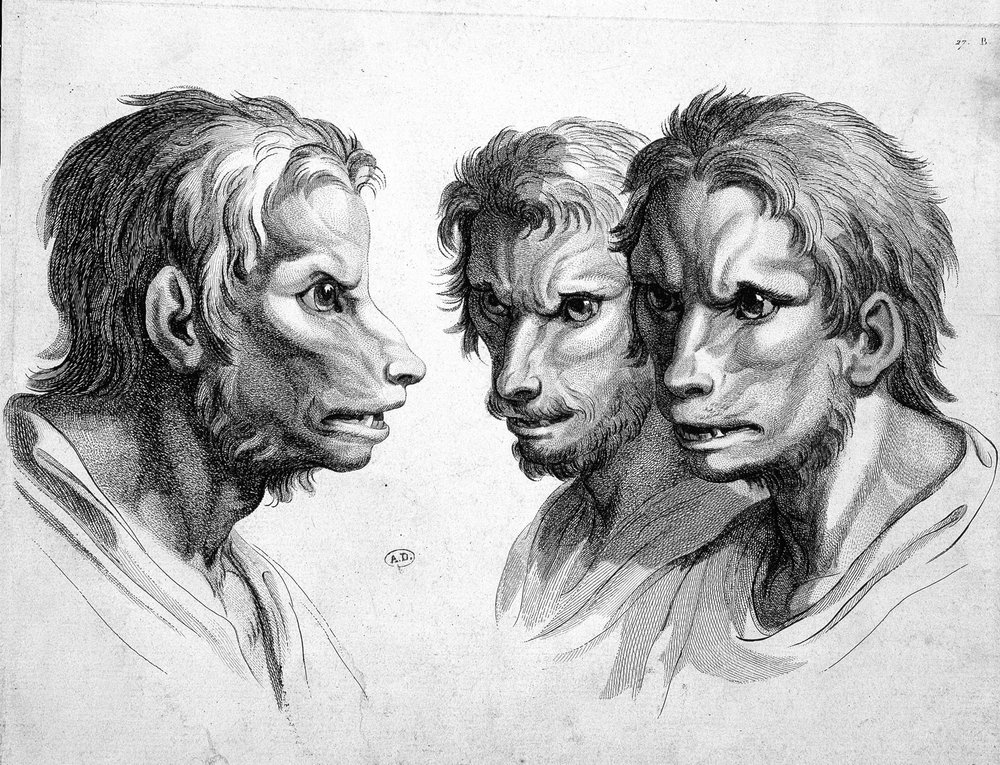 Three faces of werewolf - by Le Brun by Charles Le Brun