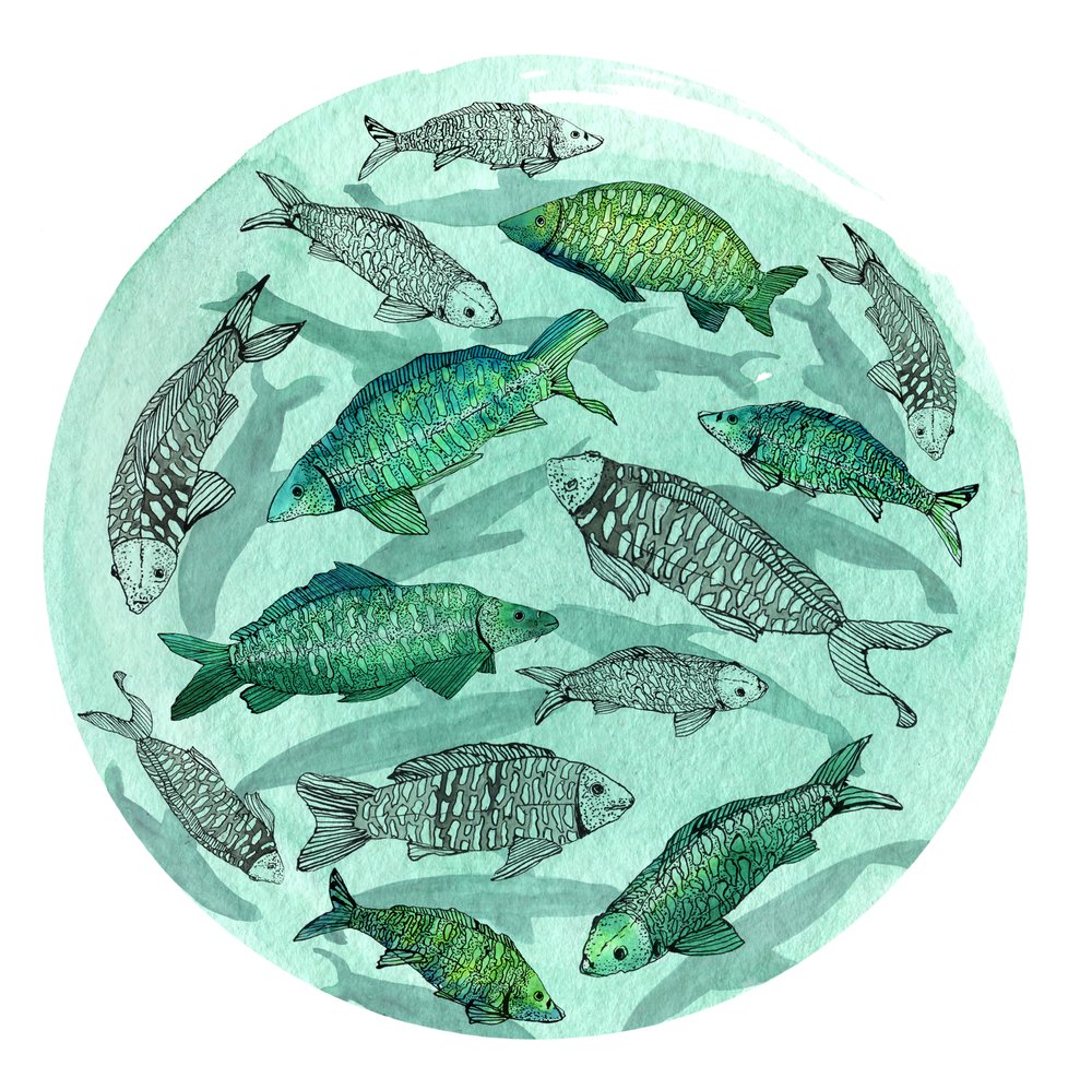 Small Fish Big Pond, 2018 by Charlotte Orr: Fine art print