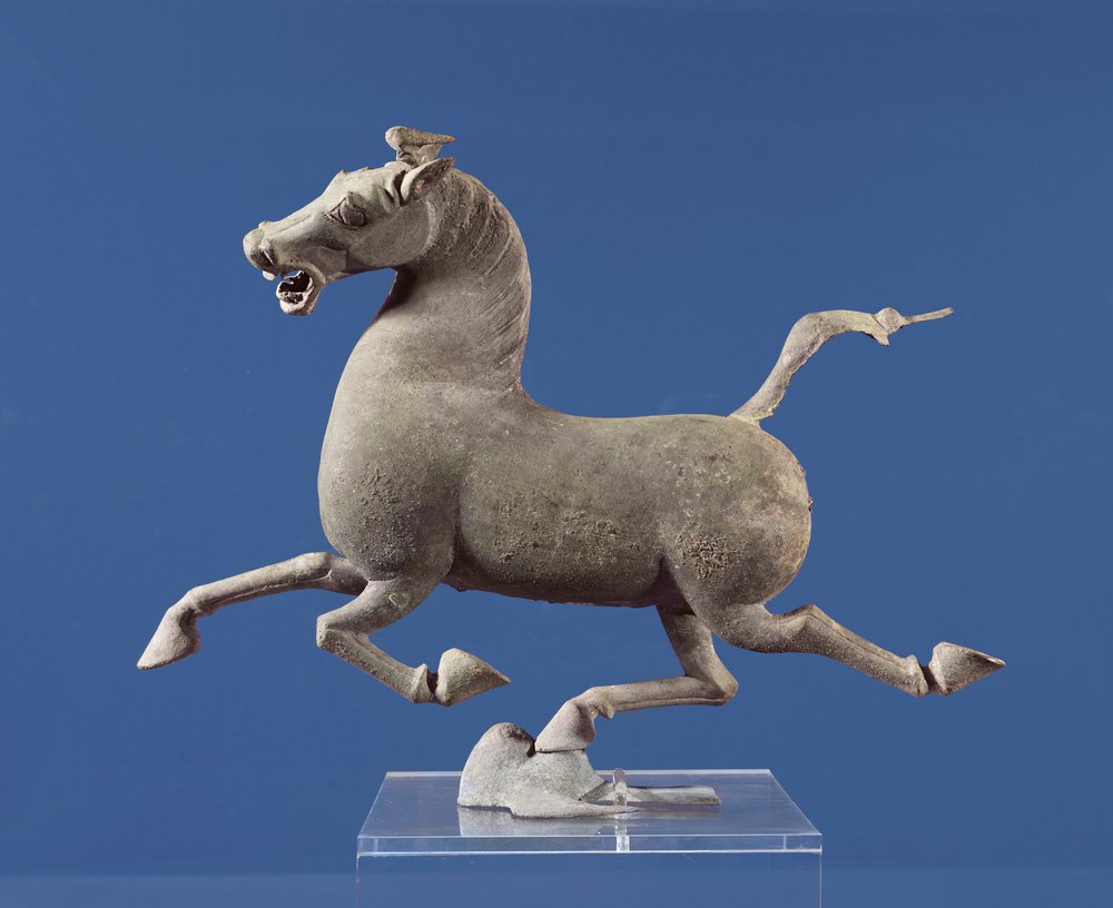 Galloping Horse with One Hoof Resting on a Swallow