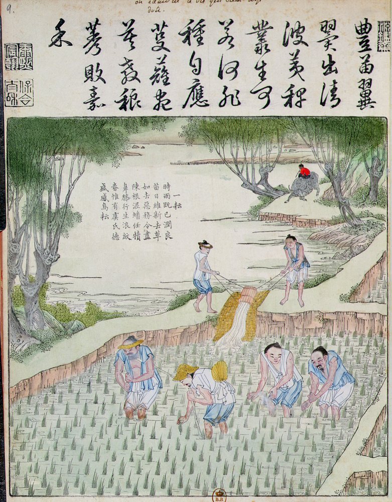 Weeding, The Rice Culture in China by Chinese School