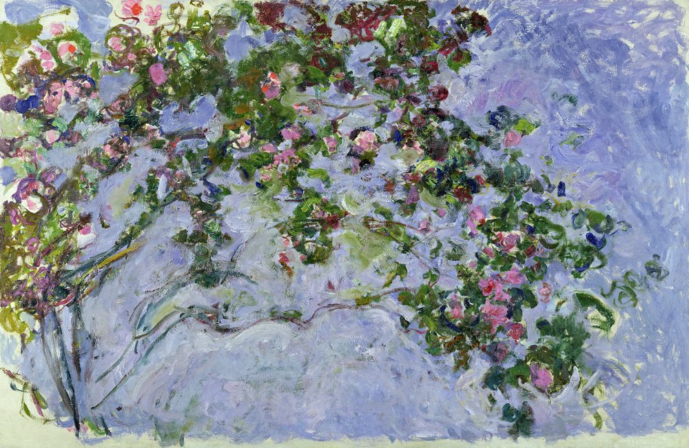 The Roses, 1925-26 by Claude Monet: Buy fine art print