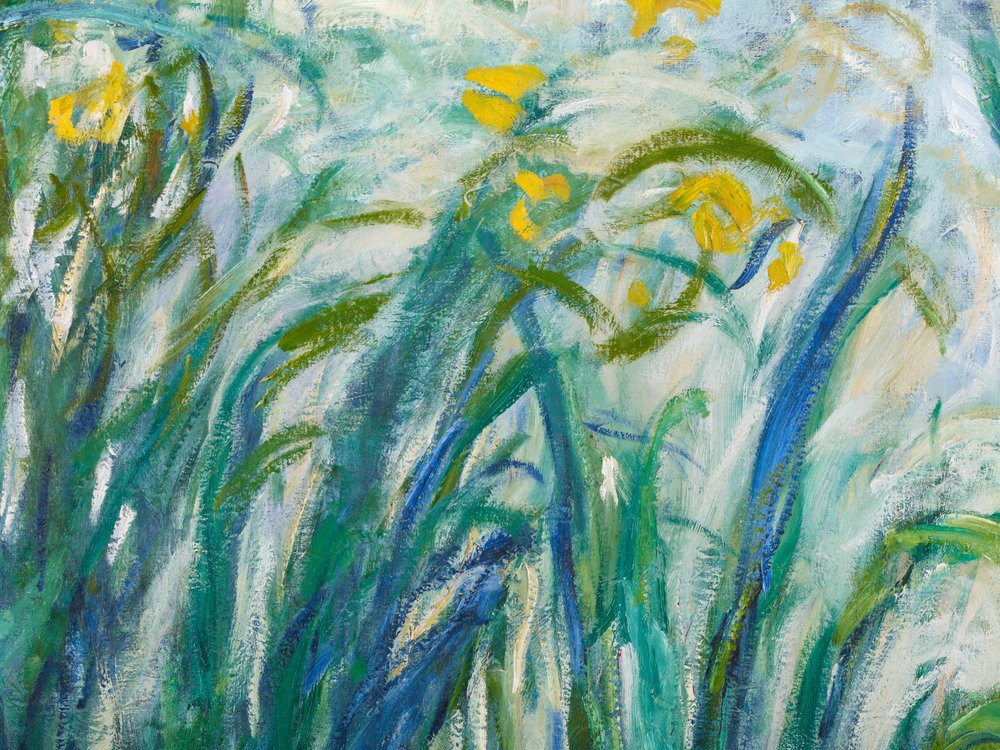 Yellow and Purple Irises (detail) by Claude Monet