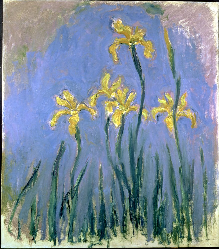 The Yellow Irises by Claude Monet: Buy fine art print