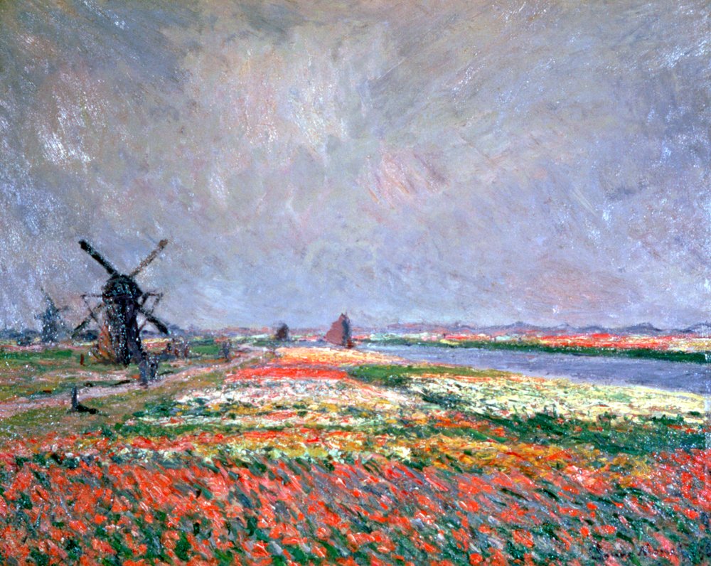Tulip fields near Leiden by Claude Monet: Fine art print