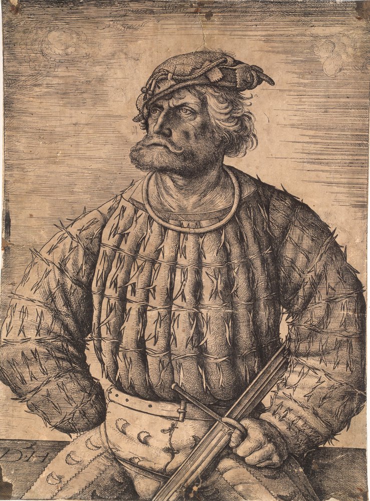 Kunz von der Rosen, Emperor Maximilian's Court Jester