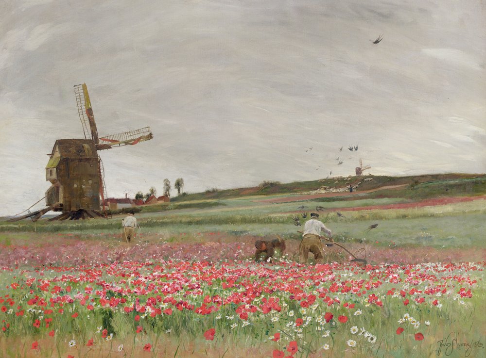 Poppy Field by David Murray: High-quality fine art print